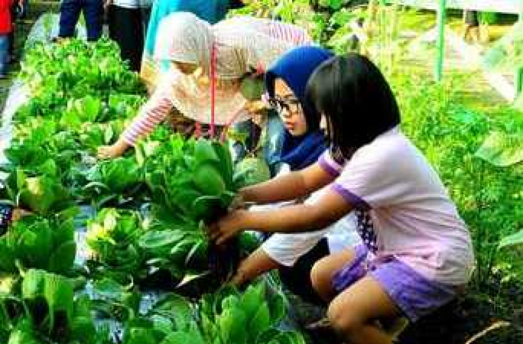 Pikat Milenial, Kementan Pacu Pengembangan Agroekowisata - Wahana News