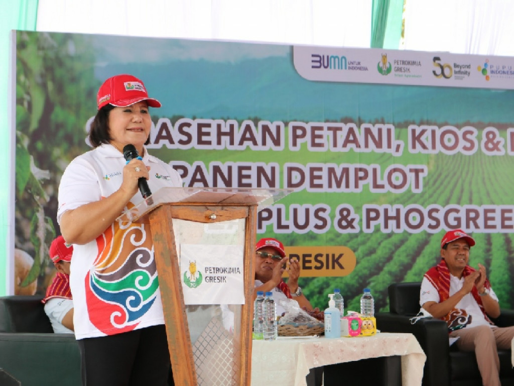 Panen Raya Kentang Demplot Di Desa Bukit, Bupati Karo : Mari Tingkatkan ...