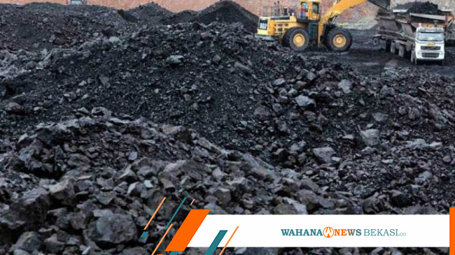Jokowi Tegaskan Perusahaan Tambang Wajib Penuhi DMO Batu Bara - Wahana News Bekasi