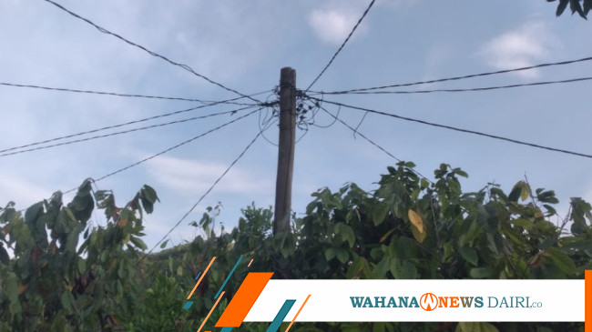 Kayu Lama, Tiang Listrik di Sarintonu Tigalingga Rawan Tumbang - Wahana ...