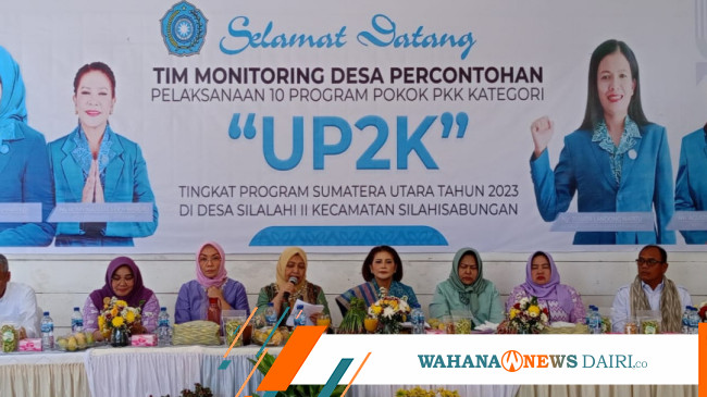 Ketua TP PKK Provsu Monitoring Desa Percontohan Kategori UP2K di ...
