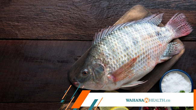 4 Manfaat Kandungan Nutrisi Ikan Mujair untuk Kesehatan Tubuh, Yu Simak ...
