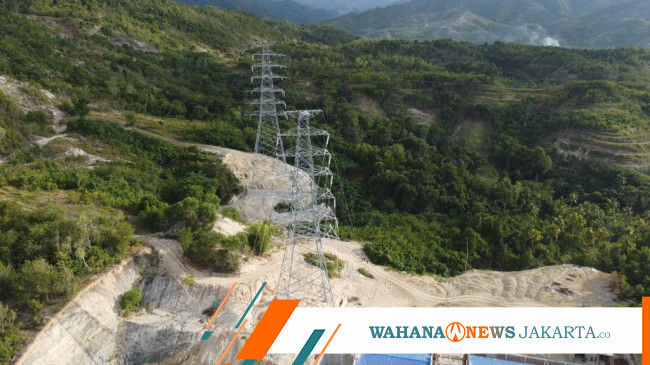 Pengamat Desak Skema Power Wheeling Dicoret dari RUU EBT - Wahana News ...