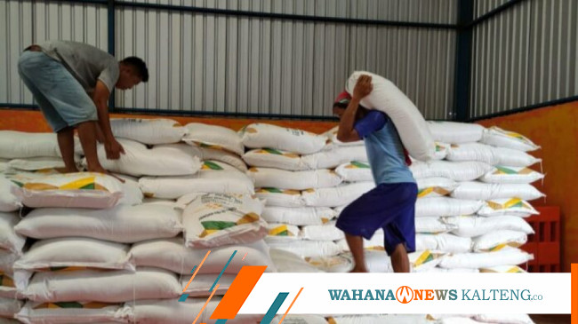 Bulog Sampit: Ketersediaan Beras Cukup untuk Ramadhan di Kotim Kalimantan - Wahana News Kalteng