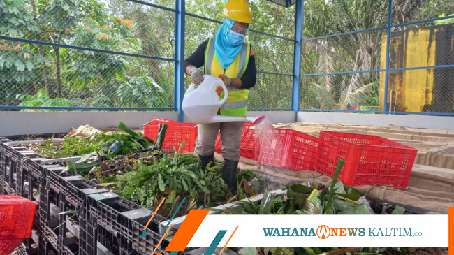 PLN Manfaatkan 50 Ton Sampah per Bulan, Hadirkan Solusi Bagi Balikpapan - Wahana News Kaltim