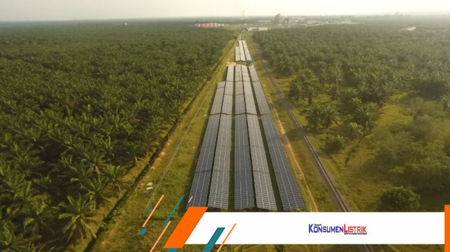 PLN: Lelang Konversi PLTD ke PLTS Masih Proses Evaluasi - Konsumen Listrik