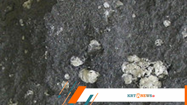 Mengenal Batu Andesit yang Picu Konflik Lahan di Desa Wadas - KRT News