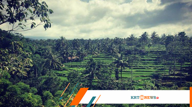 Keren! Tetebatu di NTB Masuk Nominasi Desa Wisata Terbaik Dunia - KRT News