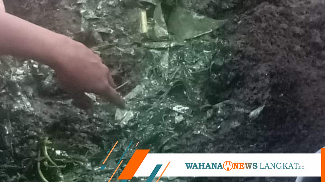 Mandi Mandi Hujan Bocah 5 Tahun Disambar Petir Selamat - Wahana News Langkat