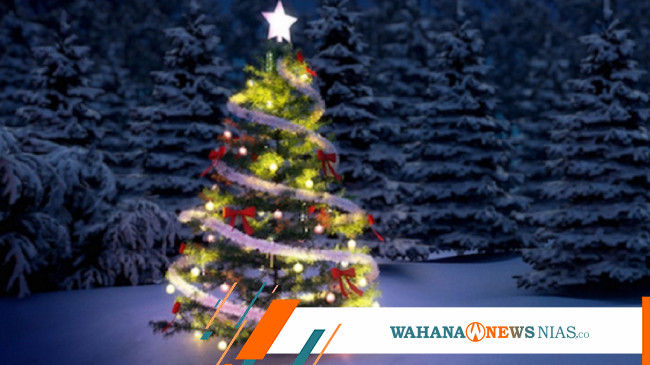 Inilah Sejarah Pohon Natal dari Masa ke Masa - Wahana News Nias