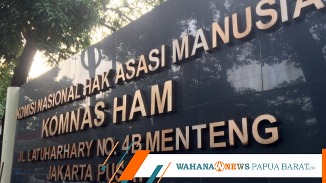 Situasi Konflik dan Kekerasan di Papua, Komnas HAM Dorong Penegakan Hukum dan Pendekatan ...