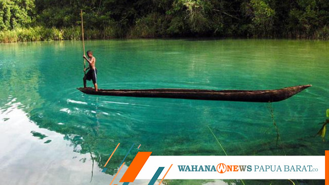 Dinas Kehutanan Papua Barat Tanam 800 Pohon di Danau Ayamaru Maybrat ... Dinas Kehutanan Papua Barat Tanam 800 Pohon di Danau Ayamaru Maybrat ...