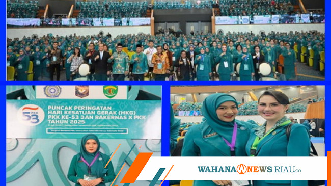 Ketua TP PKK Rohil Indah Septiani, Serukan Penguatan Peran Keluarga ...