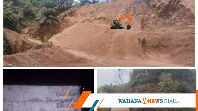 Tambang Batu Beskos Ilegal Bebas Beroperasi di Kawasan Hutan Taman ...