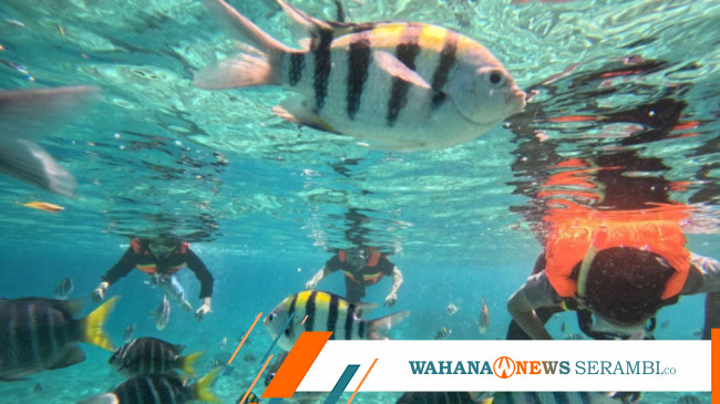 Pemkot Sabang Hadirkan Rumah Nemo sebagai Destinasi Wisata Baru ...