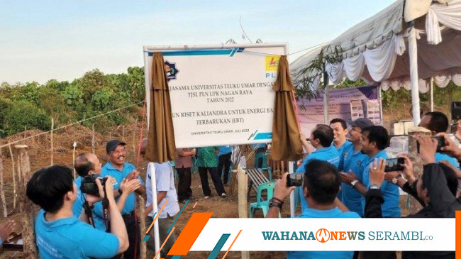UTU Miliki Tempat Riset Kaliandra, Tanaman Sumber Energi Baru ...