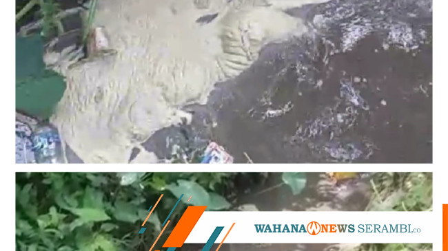 Banyak Ikan yang Mati di Sungai, Diduga Tercemar Limbah PMKS PT GSS ...