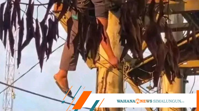 Seorang Pria Tewas Tersengat Listrik, Diduga Mau Mencuri Kabel PLN di ...