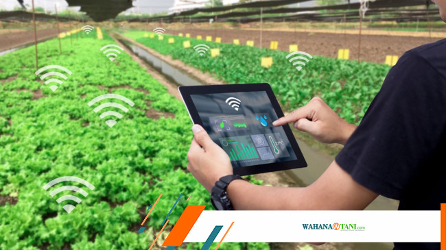 Indonesia Kembangkan 'Pertanian Robot', Petani Bisa Tahu Curah Hujan ...
