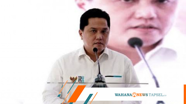 Transformasi dan Optimalisasi PLN, Erick Thohir Akan Bentuk Holding dan ...