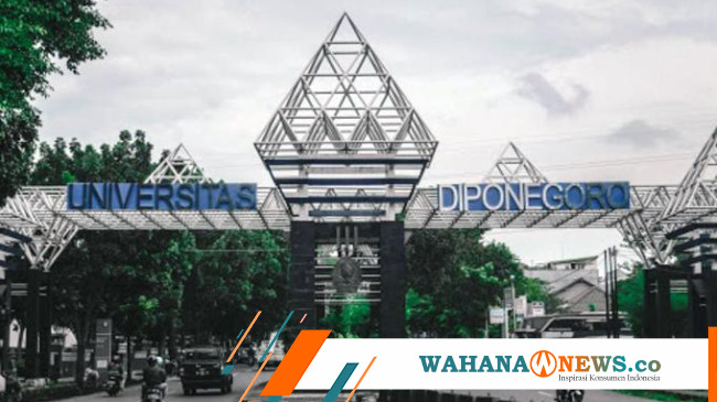 Heboh! Ratusan Ribu Data Mahasiswa Undip Bocor, Ini Fakta-faktanya ...