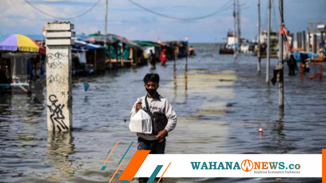 BMKG Keluarkan Peringatan Banjir Rob di Wilayah Pesisir Banten - Wahana News