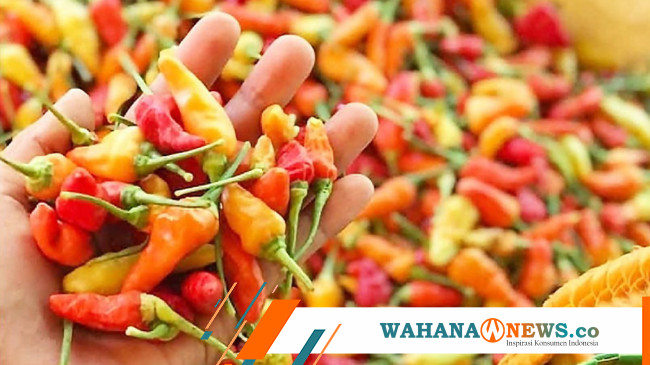 Natal dan Tahun Baru Sudah Lewat, Harga Cabai Masih Naik - Wahana News