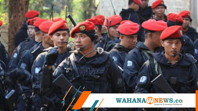 Ada Kopassus, Ini 5 Pasukan Elite TNI yang Disegani Tentara Asing - Wahana News