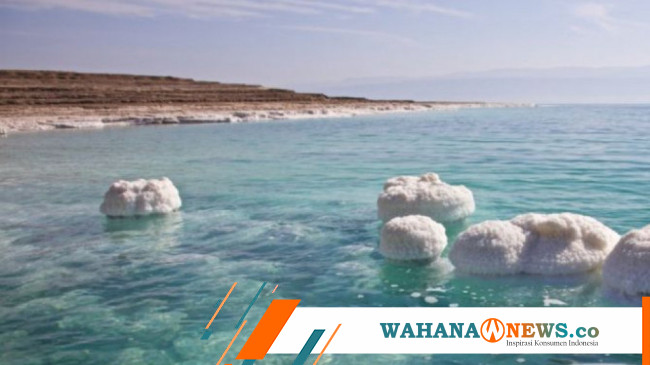 Perairan Paling Asin di Dunia, Adakah Kehidupan di Laut Mati? - Wahana News