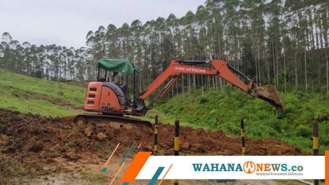 Sekitar 20% Lahan yang Akan Dipakai Pemerintah dari Total Luas IKN ...