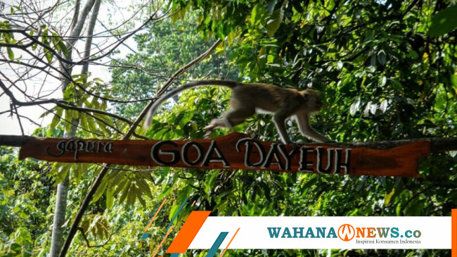 Wisata Alam Goa Dayeuh Karawang, Tempat Melihat Langsung Habitat Kera ...