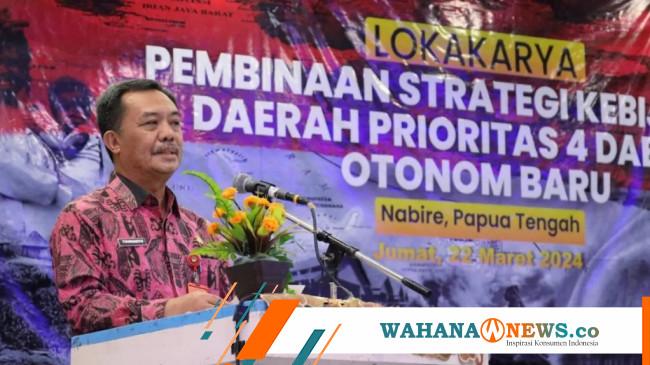 Kemendagri Ungkap Isu Strategis di 4 Daerah Otonom Baru Papua - Wahana News