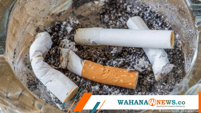 Cara Membuat Pestisida Ramah Lingkunan dari Puntung Rokok - Wahana News