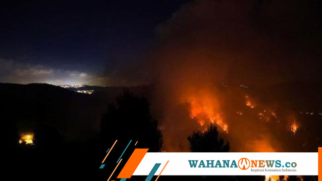 Kebakaran Hebat Landa Israel Tengah, Netanyahu Serukan Bantuan ...