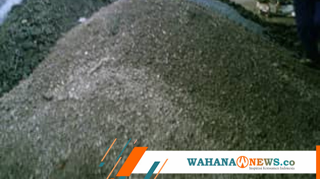 Kenaikan Harga Emas Dorong Kenaikan HPE Konsentrat Tembaga pada Periode ...