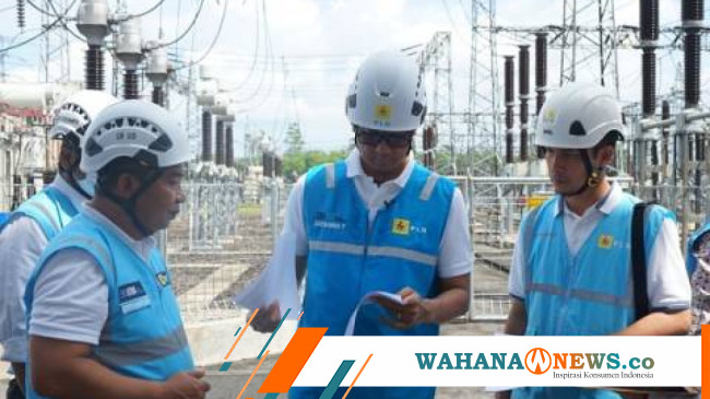 PLN Kebut Infrastruktur Kelistrikan di Kalimantan dengan Sistem Looping - Wahana News