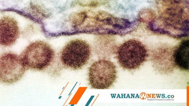 Mengenal Virus Kongo, Deman Berdarah Parah yang Mematikan - Wahana News