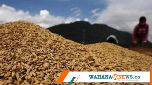 Produksi Beras Meningkat, Bapanas Pastikan Petani Tetap Untung Lewat ...