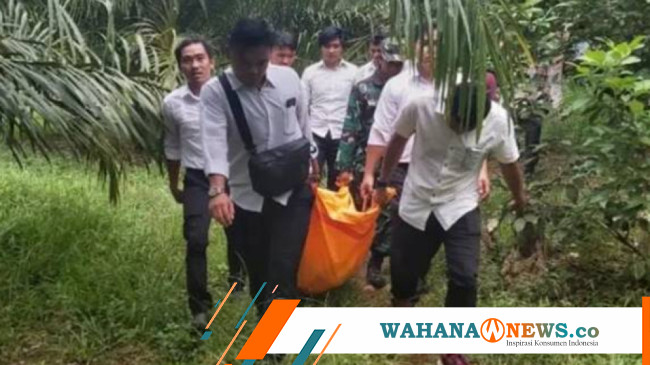 Ditemukan di Kebun, Anggota TNI Tewas dengan Sejumlah Luka Bacok ...