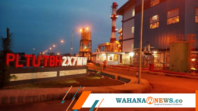 PLN Gunakan Biomassa Cangkang Sawit untuk PLTU Tembilahan - Wahana News