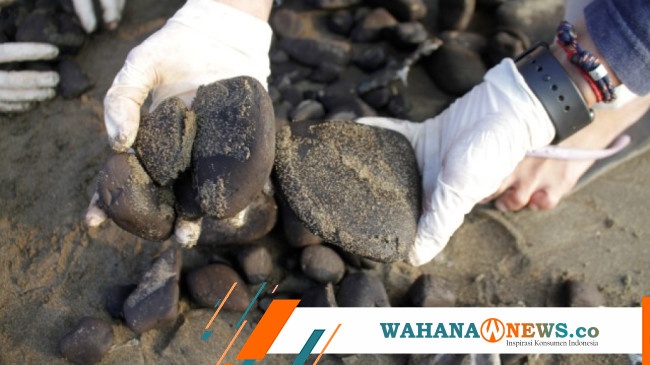 PLN Manfaatkan 1,1 Juta Ton Limbah Abu Batubara di Tahun 2021 - Wahana News