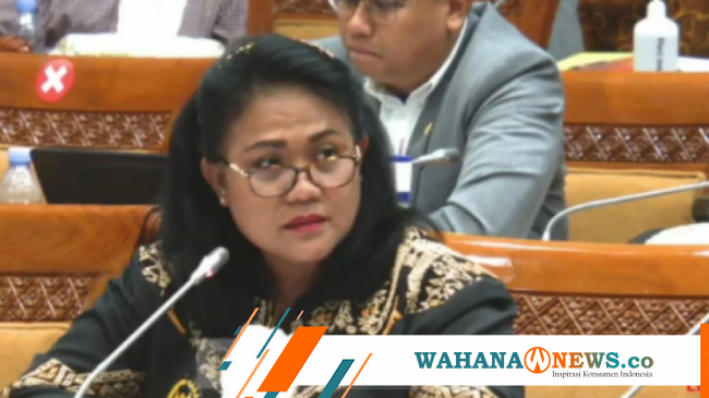 Meledak-ledak Saat Semprot Mendikbud Nadiem, Inilah Profil Anggota DPR Anita Jacoba - Wahana News