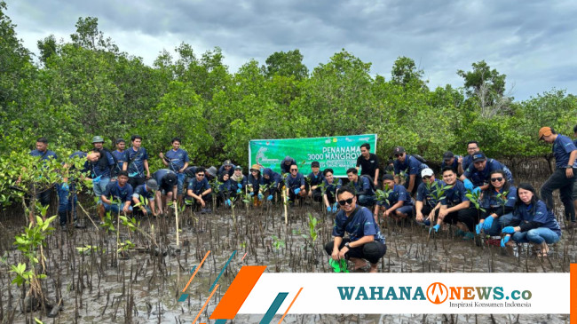 Peringati Hari Lingkungan Hidup Sedunia, PLN Tanam 3.000 Mangrove di Pesisir Sulawesi Utara ...