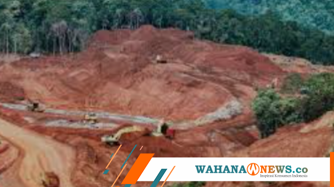 Tambang Nikel di Pulau Gag Diizinkan Meski Masuk Kawasan Hutan Lindung, Ini Alasannya - Wahana News