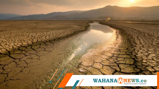 Mengenal Fenomena Kemarau Basah yang Sedang Terjadi di Indonesia - Wahana News