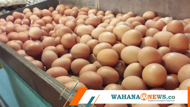 Harga Melonjak, Kementerian Perdagangan Komitmen Stabilkan Harga dan ...