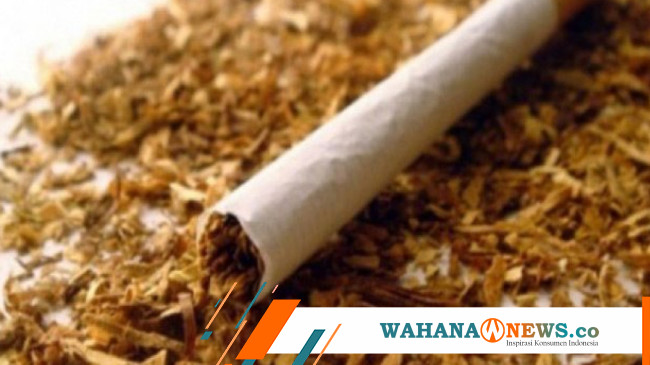 Nikotin Miliki Beragam Manfaat Jika Dikonsumsi dalam Jumlah dan Cara ...