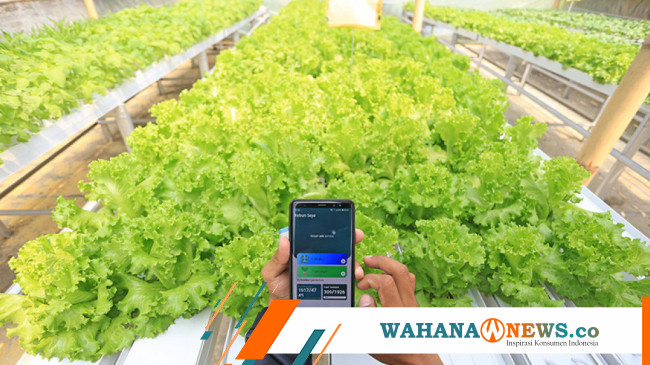 Teknologi Sensor Cuaca: Petani Bisa Deteksi Curah Hujan-Tanah Real Time ...