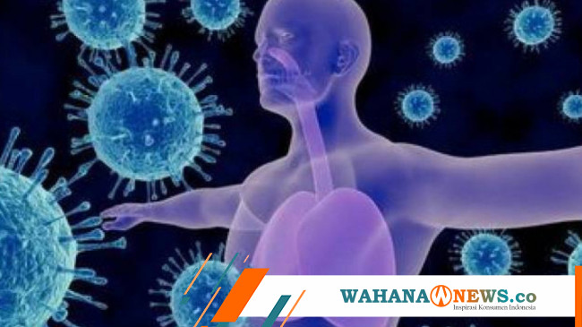 4 Hal Ini Dapat Membuat Daya Tahan Tubuh Melemah - Wahana News
