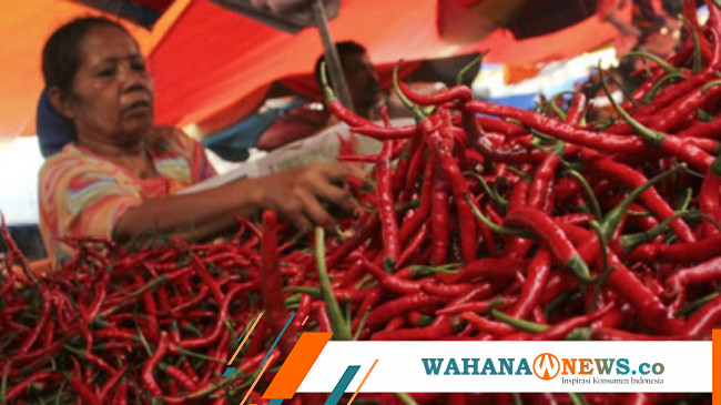 BBM Subsidi Naik, Harga Cabai Merah Melambung Tinggi - Wahana News